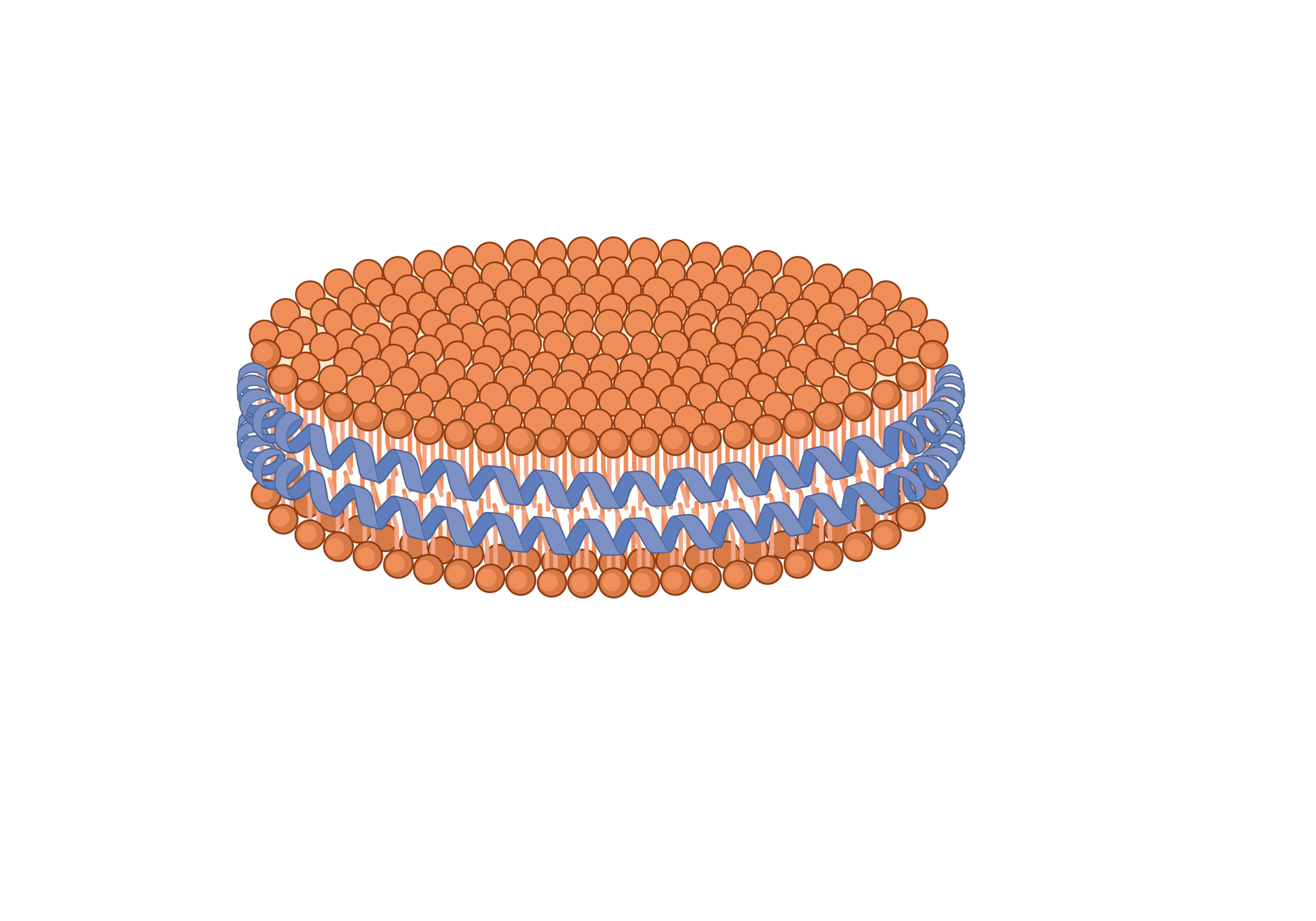 Insane in the Membrane- Using Nanodiscs to Study the Endocannabinoid ...